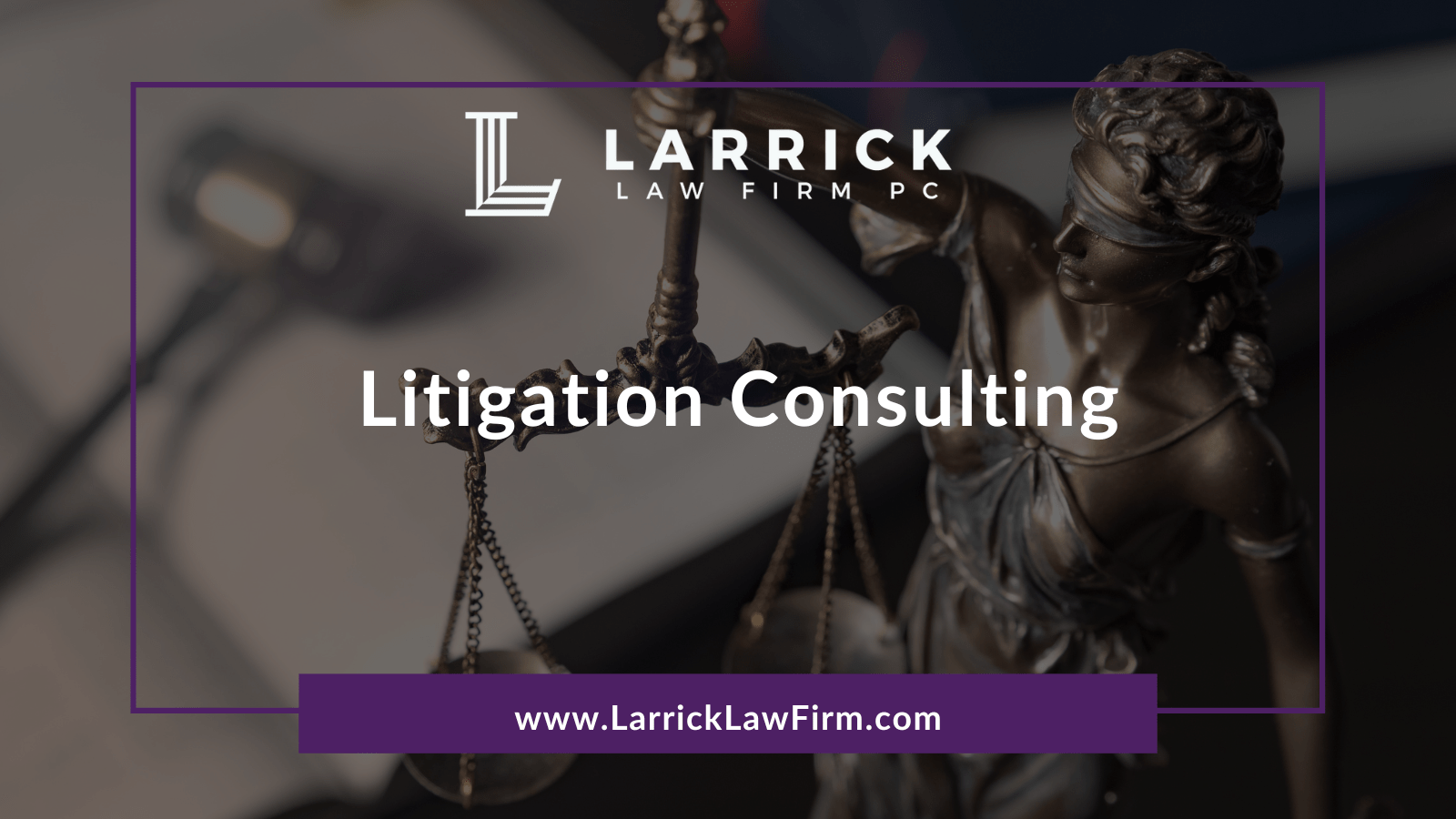 Trial Consulting - Elizabeth Larrick